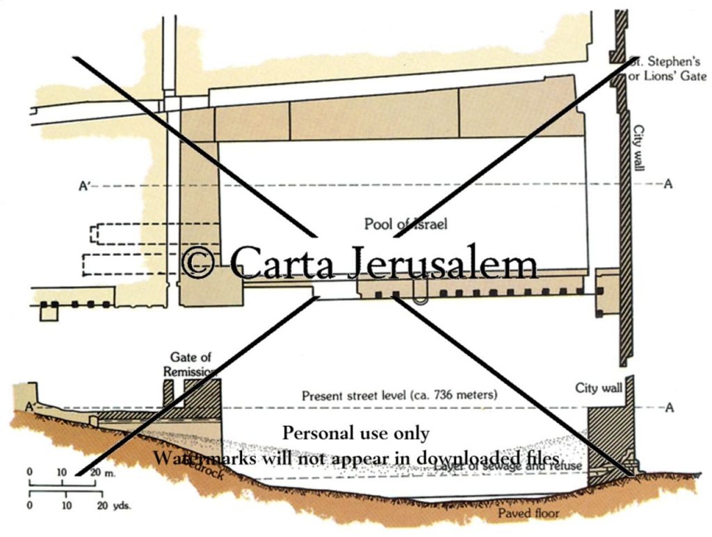 The Pool Of Israel - Biblewhere